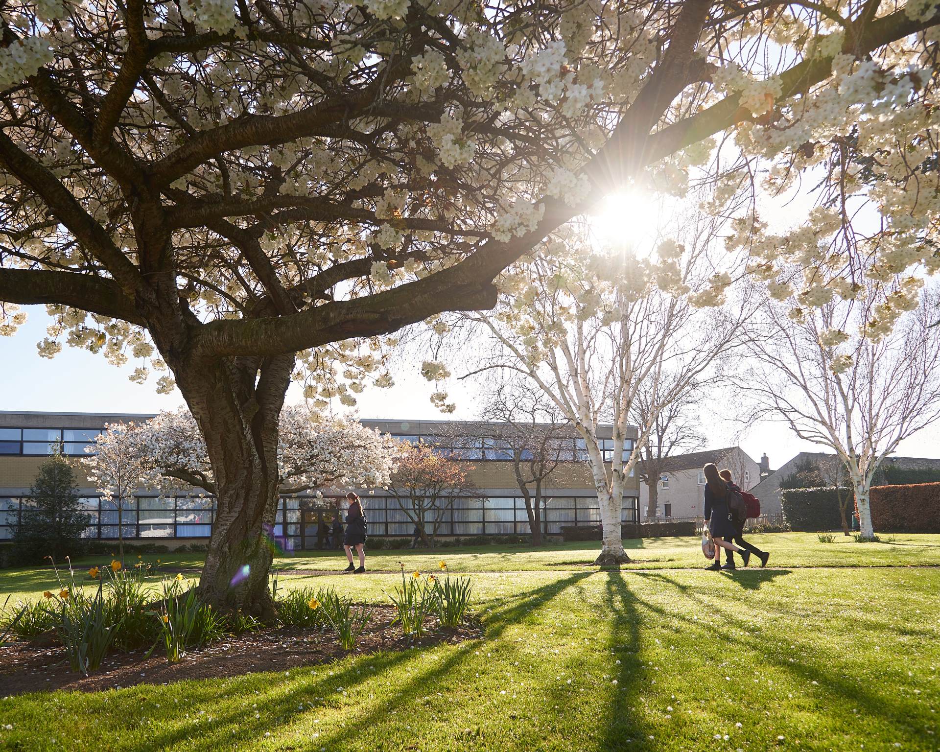 Wesley College Dublin Boarding